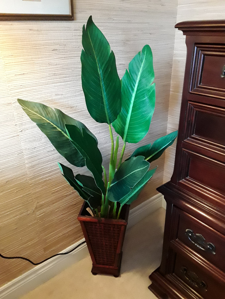 Learn the step-by-step process of potting an artificial tree with tips ...
