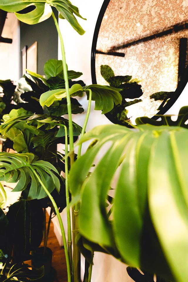 How to decorate your home with indoor silk plants