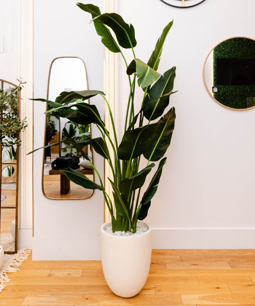 Yelapa Cement Planter - Multiple Sizes | Artiplanto – artiplanto