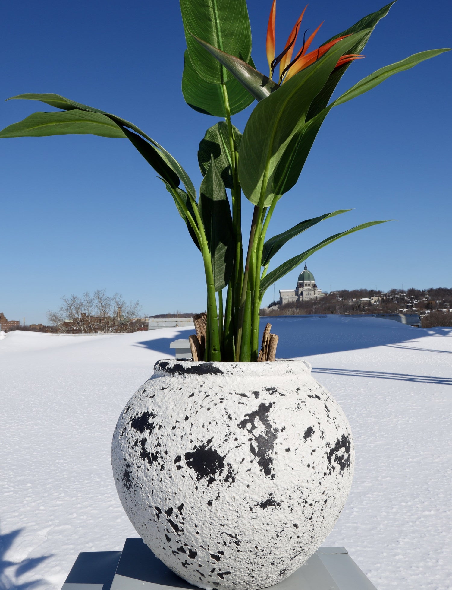 Rolo Round Cement Planter 18 - Artiplanto – artiplanto