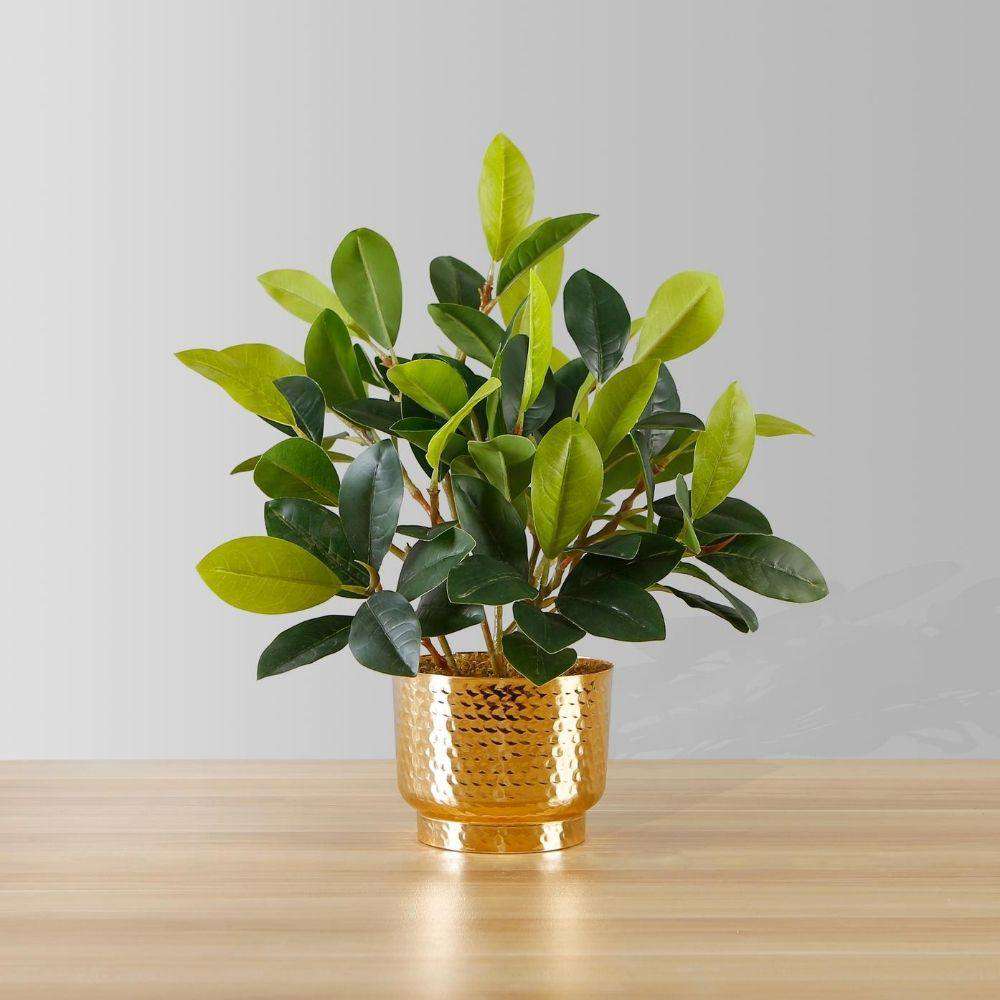 Moreno Potted Faux Watercress Plant - Artificial Plants for Home Decor ...