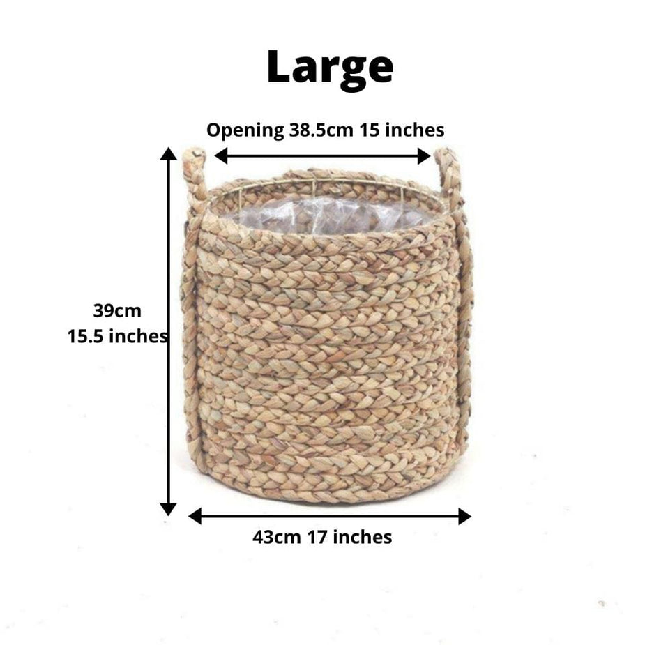 Cece Water Hyacinth Planter - Multiple Sizes | Artiplanto – artiplanto