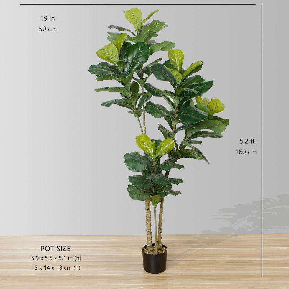 5 Feet To 6.5 Feet - Potted Artificial Plants – artiplanto
