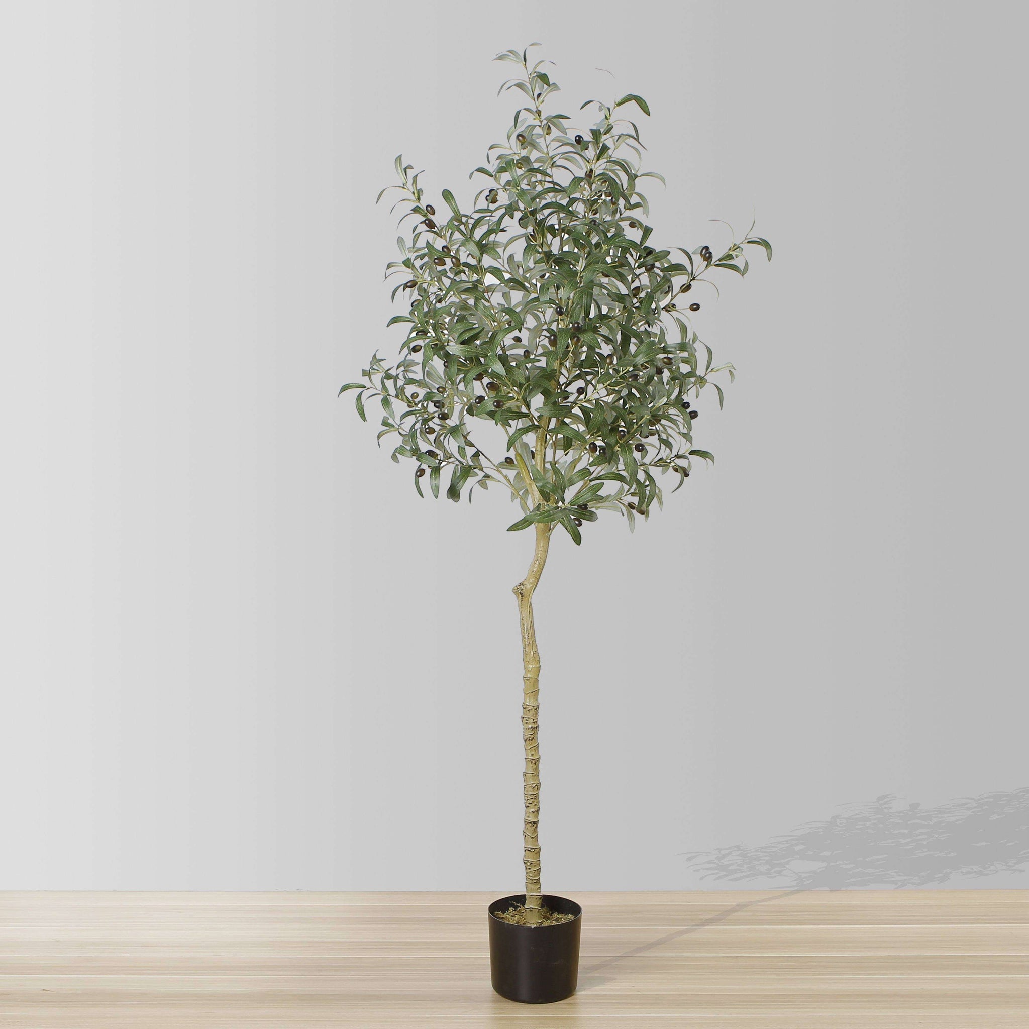 OLI Artificial Olive Tree Potted Plant | Artiplanto