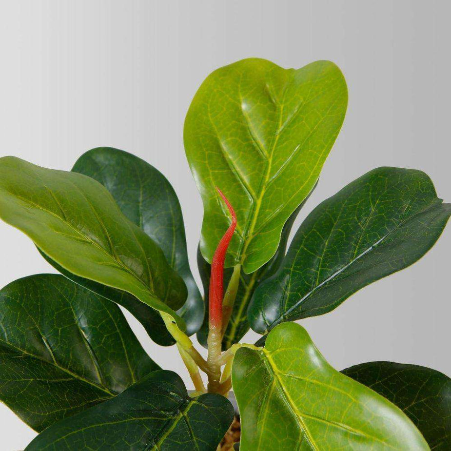 Panuco Potted Faux Fiddle Plant - Artificial Fiddle Leaf Fig – artiplanto