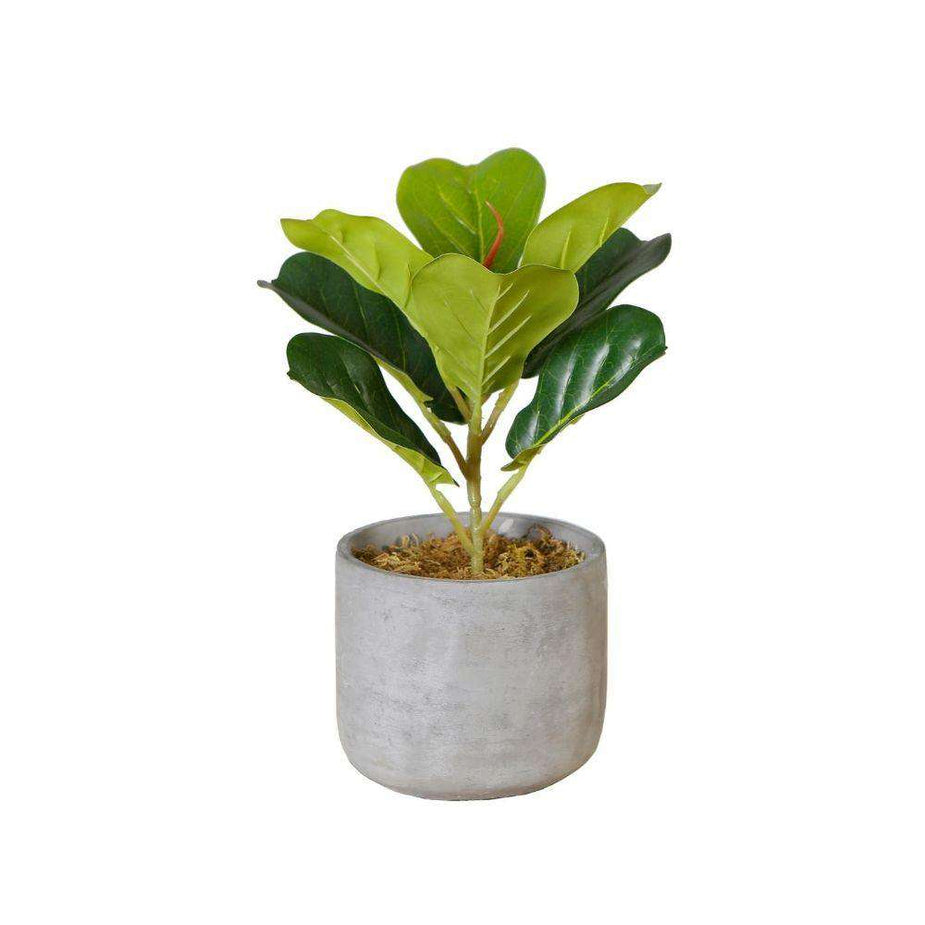 Panuco Potted Faux Fiddle Plant - Artificial Fiddle Leaf Fig – artiplanto