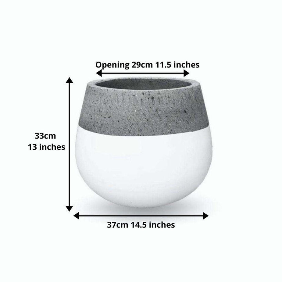 Zamora Cement Planter - Multiple Sizes | Artiplanto – artiplanto