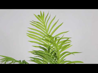 Lolo Hawaii Palm 3 Artificial Potted Plant - Artiplanto – artiplanto